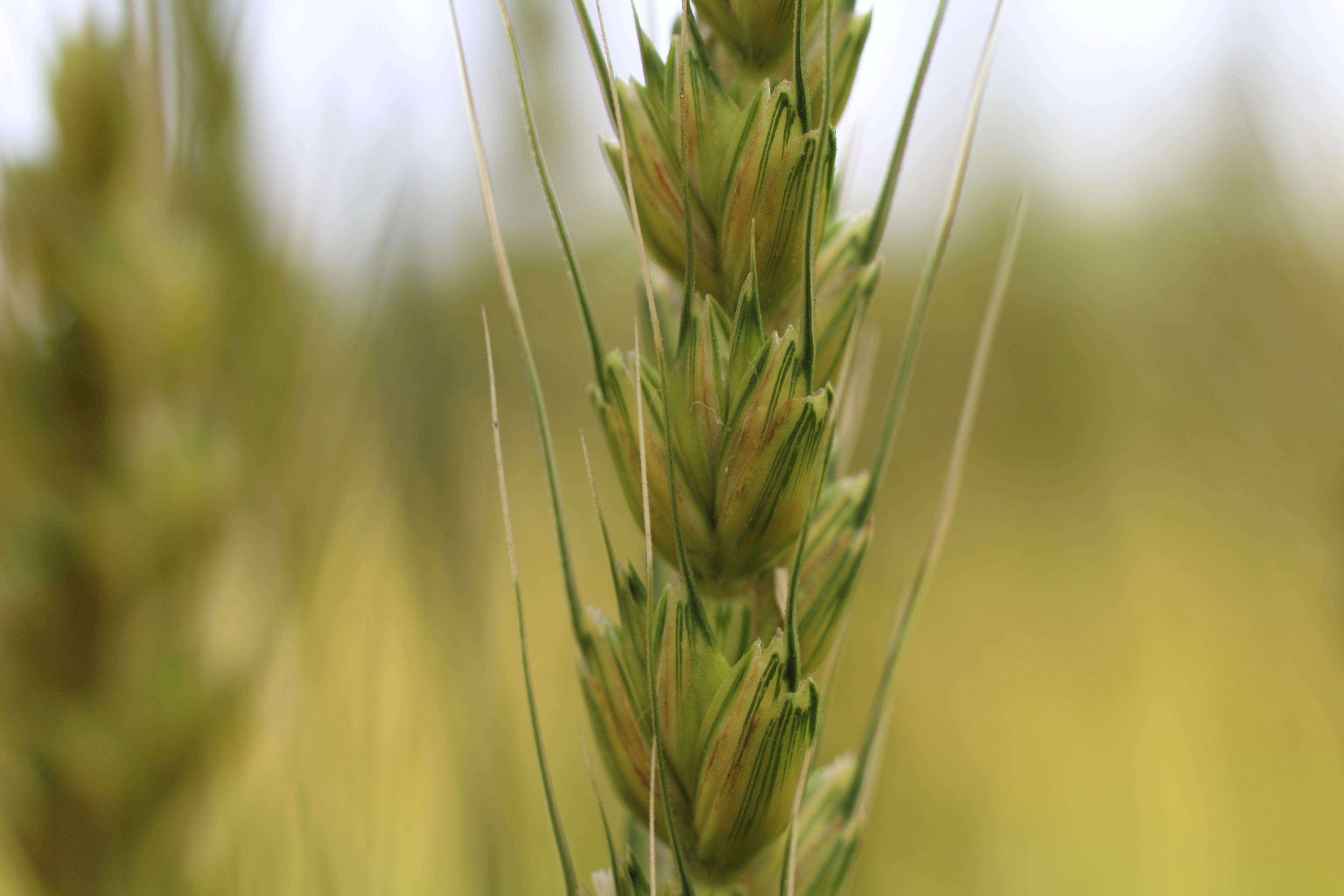 99+ Amazing Sites to Find Royalty Free Stock Photos